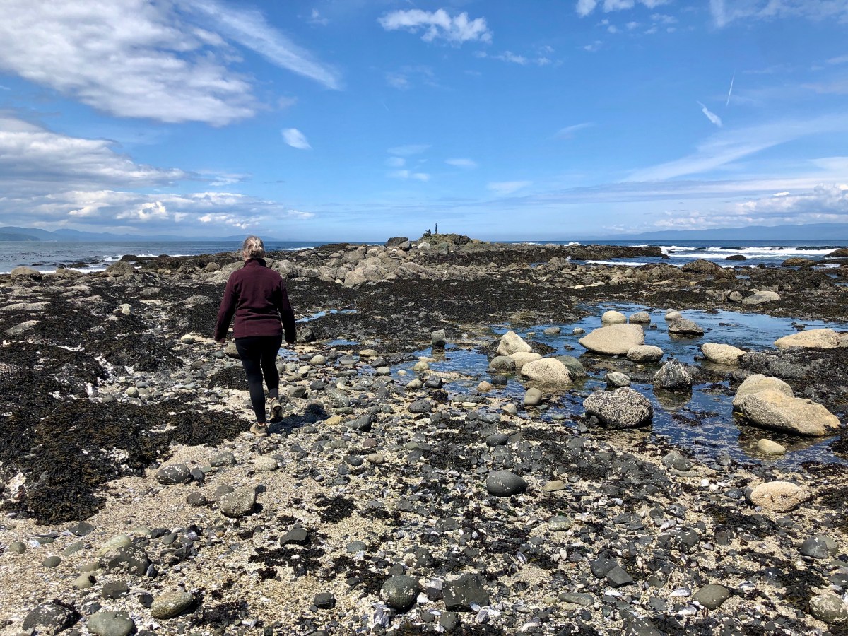 Mussel Beach | The Road Less Traveled